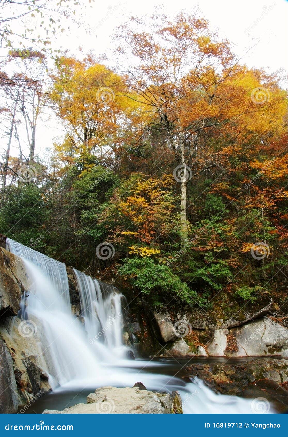 Waterfall with tree stock photo. Image of slow, fall - 16819712
