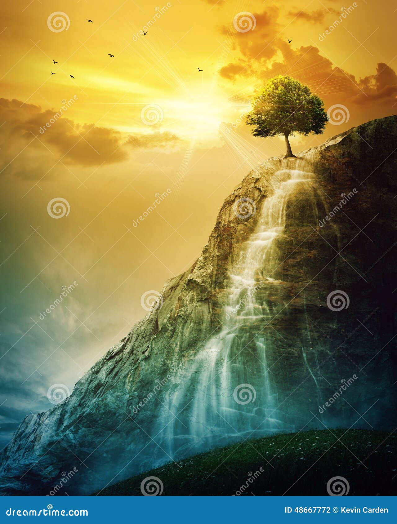 Waterfall tree stock photo. Image of beam, roots, cascade - 48667772