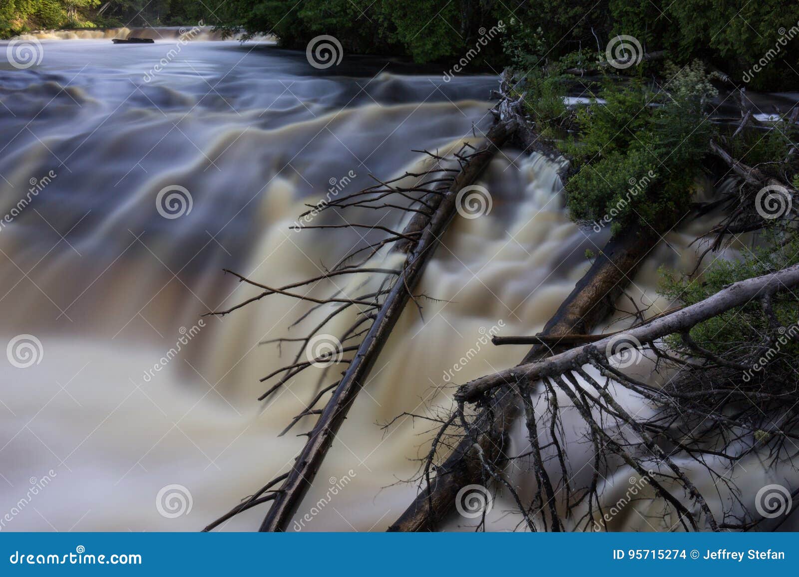 Waterfall with tree trunks stock photo. Image of wilderness - 95715274