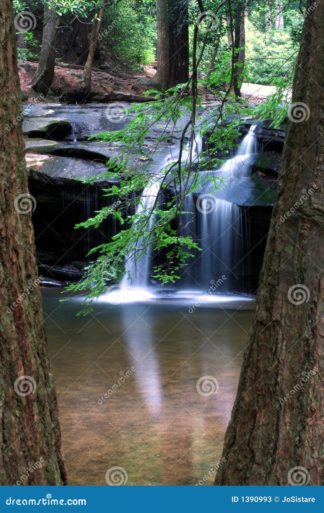 Waterfall through the Trees Stock Image - Image of stone, river: 1390993