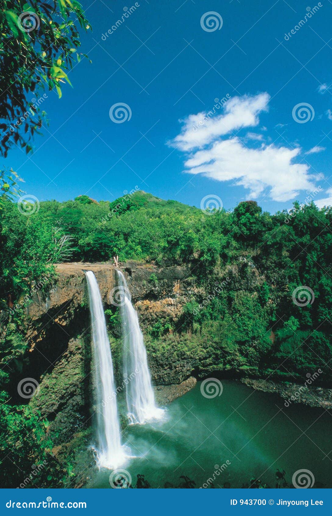 Waterfall with Trees stock photo. Image of outdoor, snow - 943700