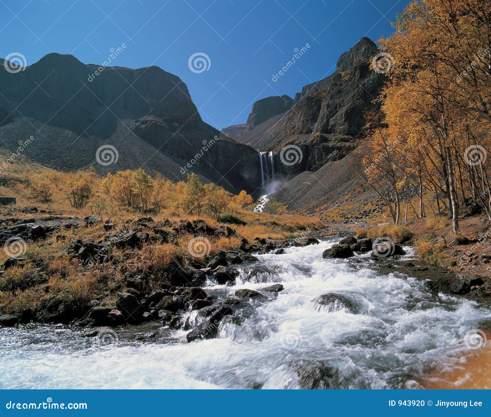 Waterfall and Trees stock photo. Image of pure, nature - 943920