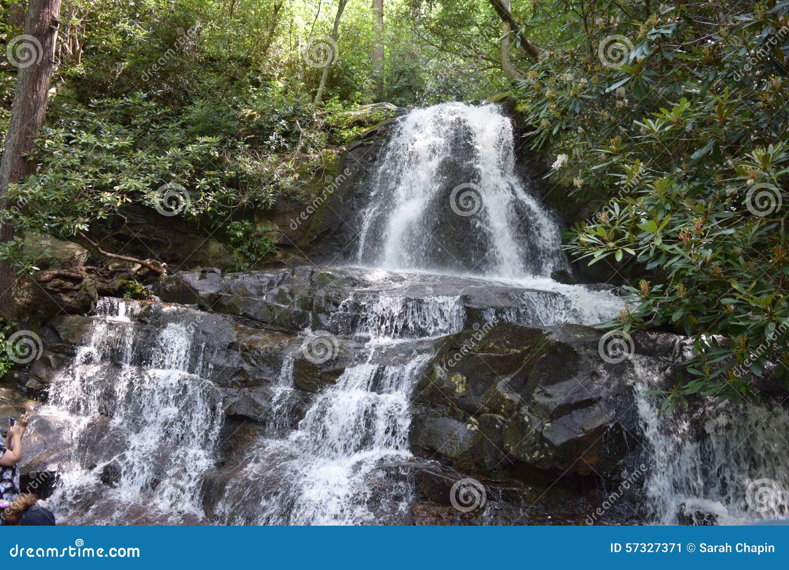 Waterfall among the trees stock image. Image of trees - 57327371