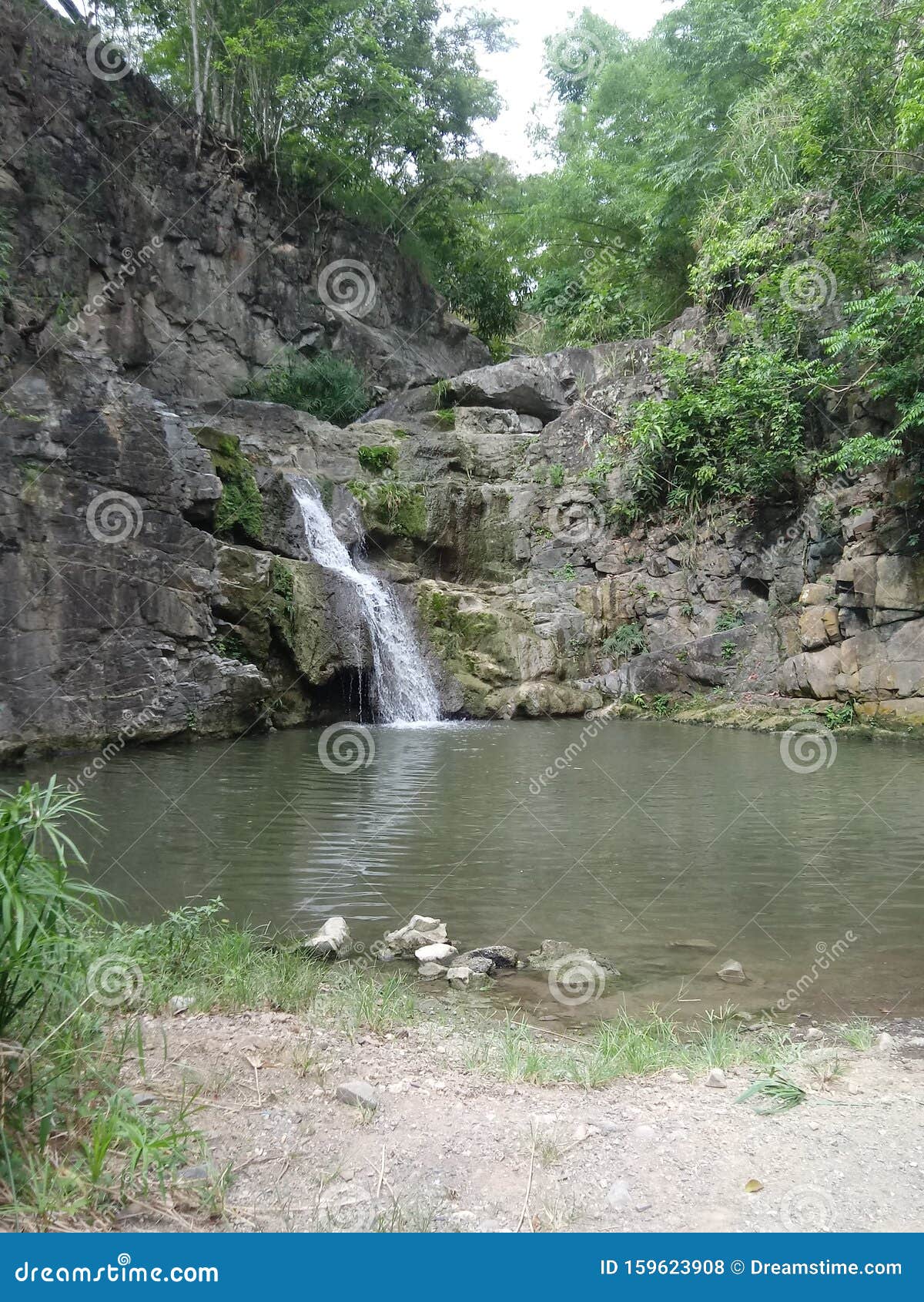 Waterfall Trees Cliff Puerto Rico Stock Photo - Image of cliff, rico ...