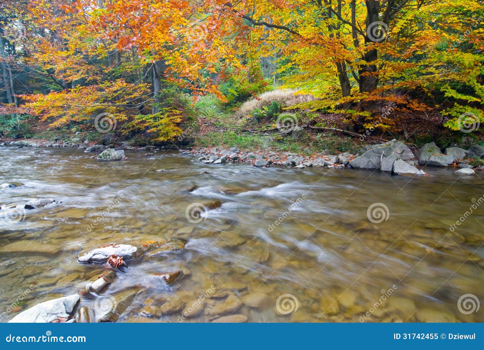 Waterfall with Trees and Rocks in Mountain in Autumn Stock Image ...