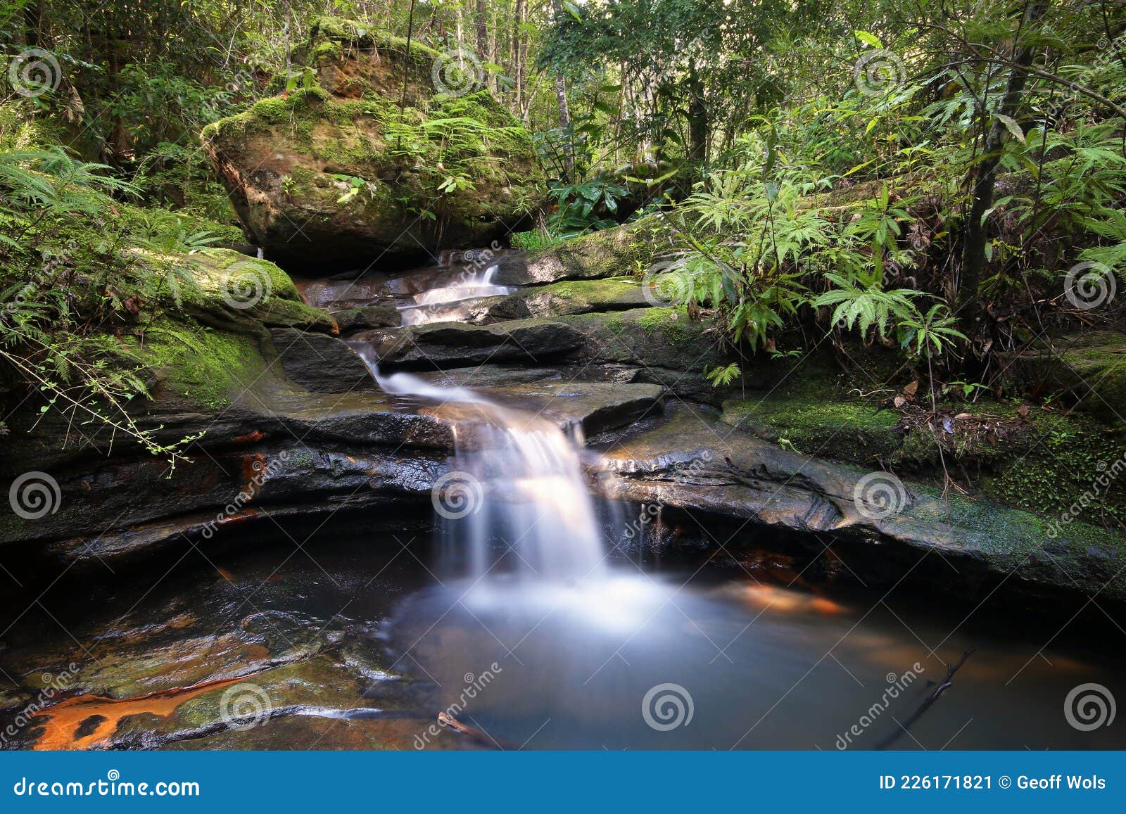 A Waterfall with Trees on the Side of a River in Australia Stock Image ...