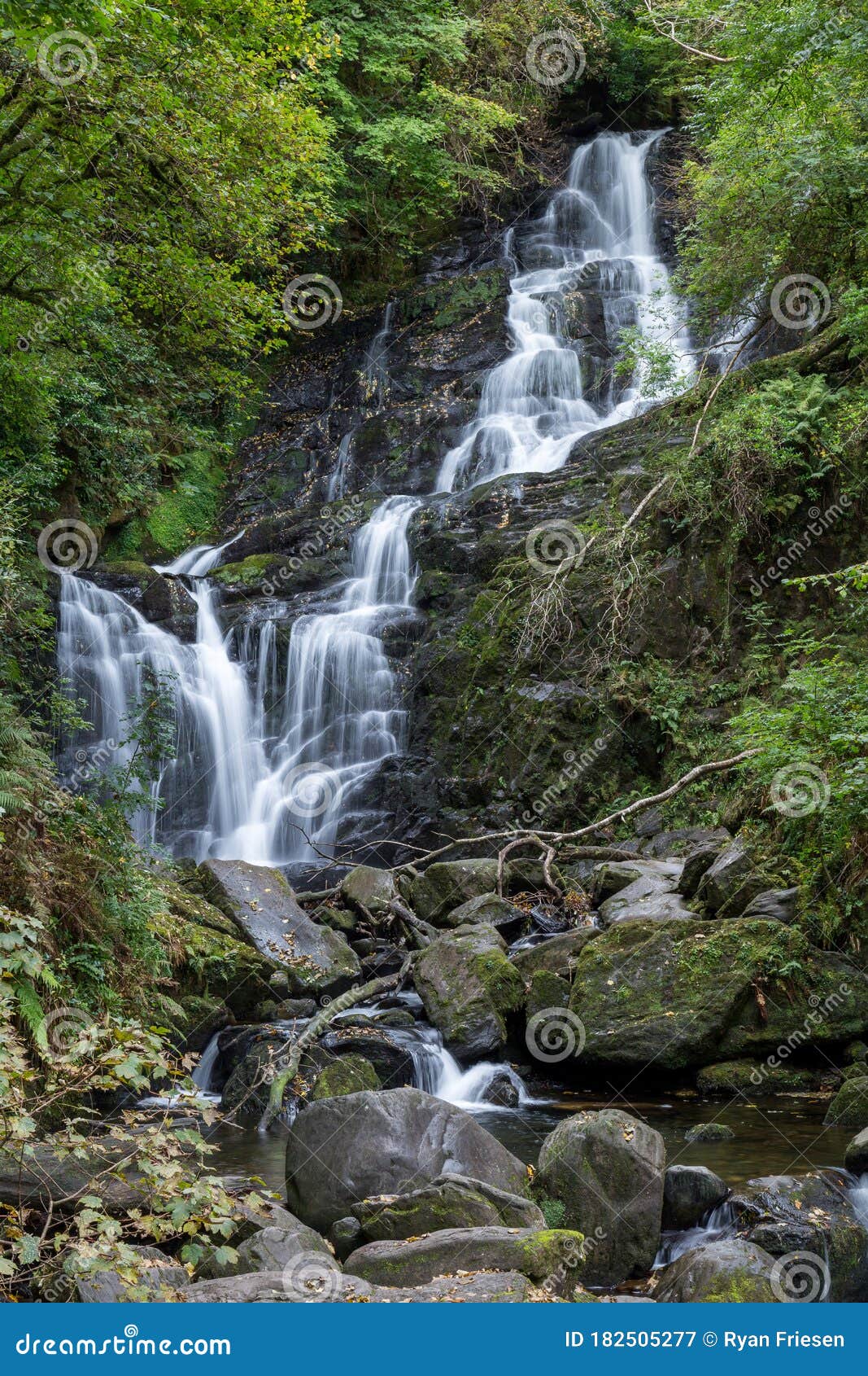 Torc Waterfall in the Green Trees Stock Image - Image of county ...