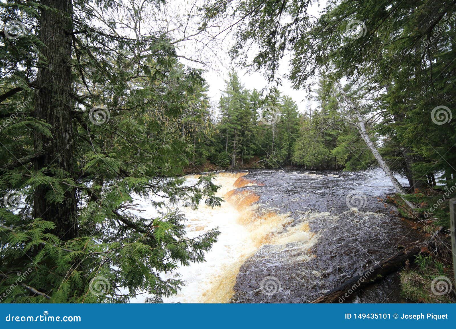 Waterfall through Trees stock image. Image of foreground - 149435101