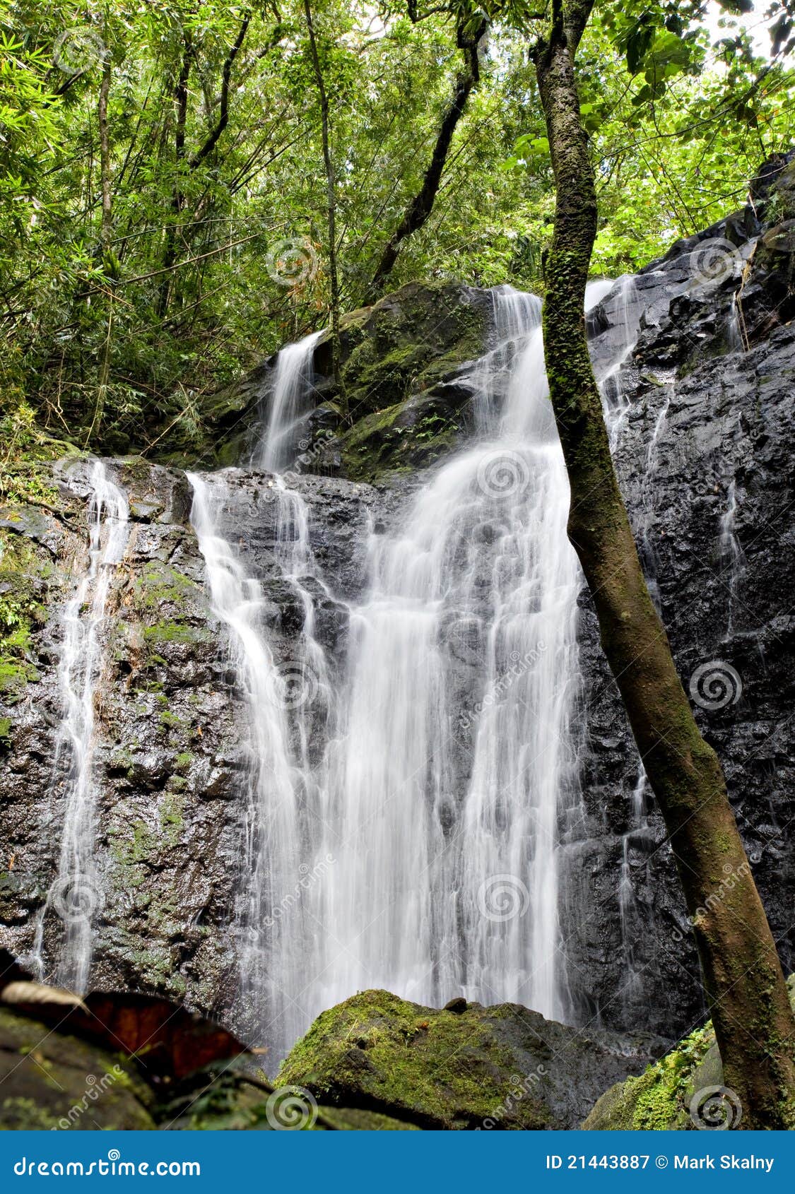 Waterfall, Tahiti Island, French Polynesia, Close To Bora-Bora Stock ...
