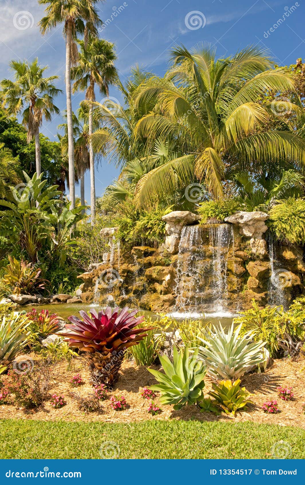 Waterfall in Tropical Garden Stock Image - Image of summer, blue: 13354517