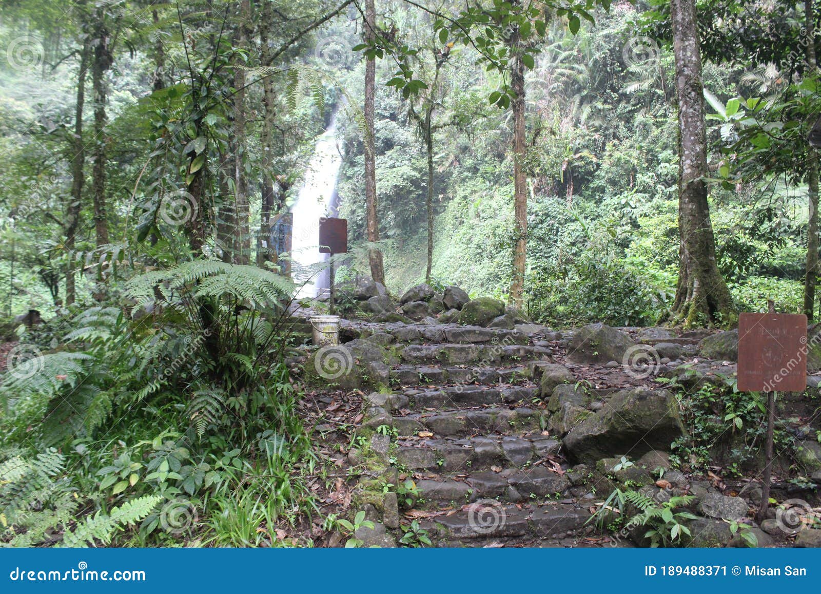 Waterfall in Tropical Green Forest in West Java Indonesia Stock Image ...