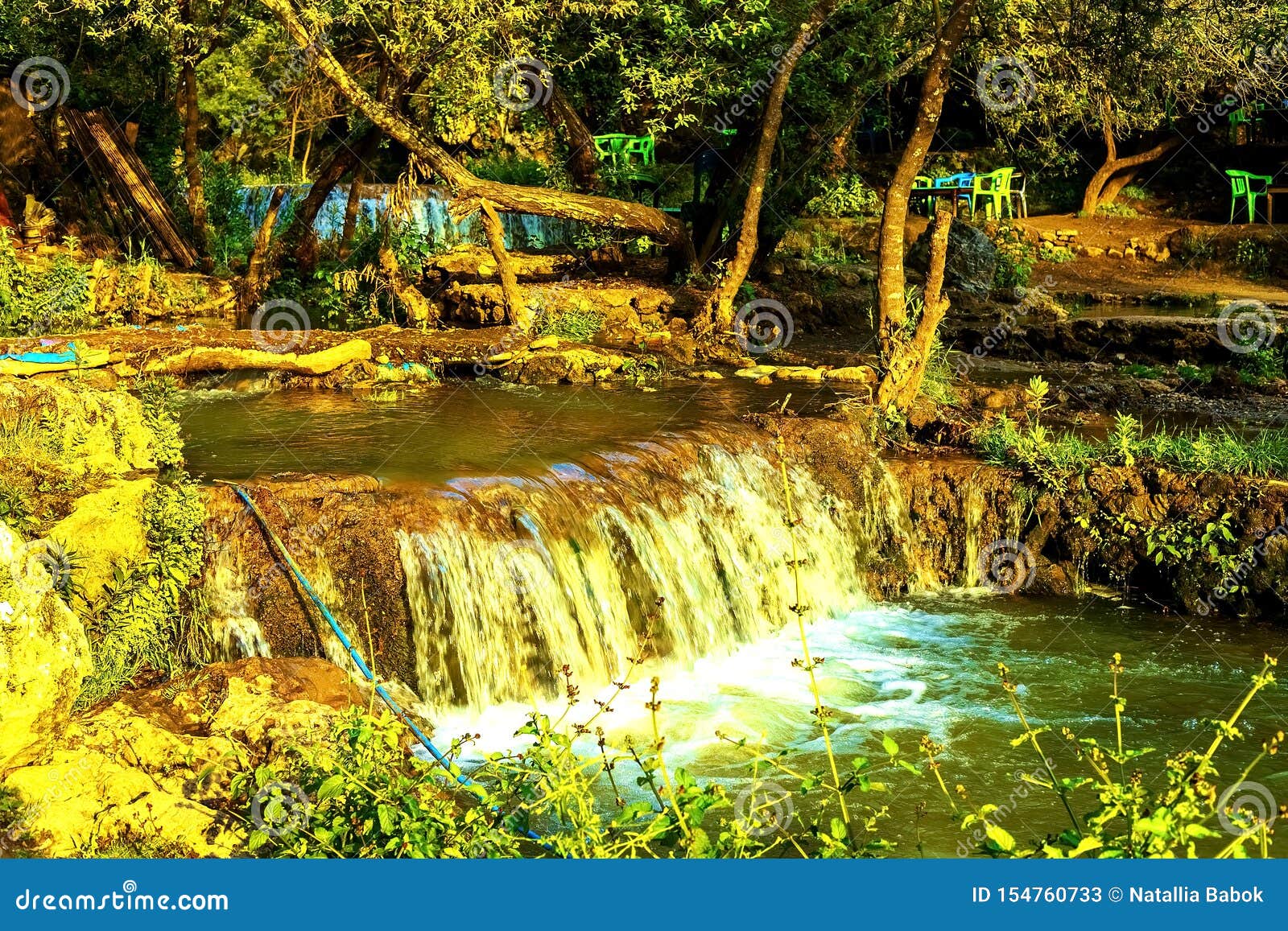 Waterfall in Tropical Green Tree Forest. Waterfall is Flowing in Jungle ...