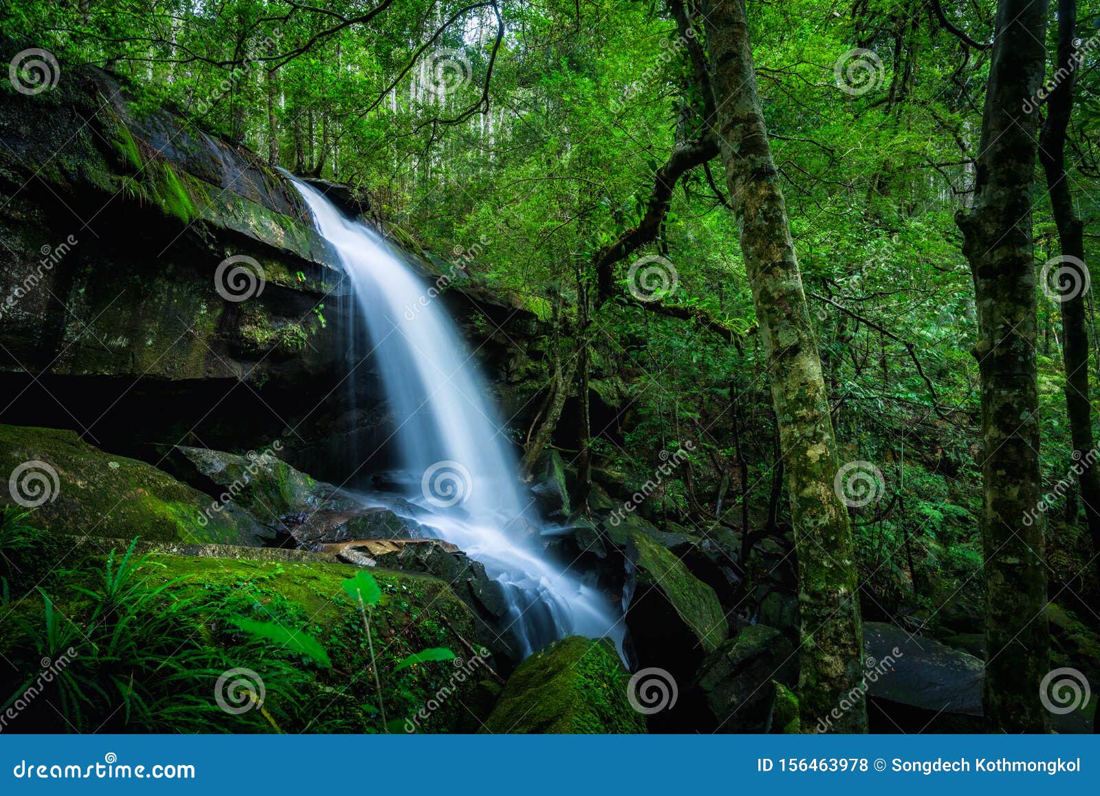 Waterfall in the Tropical Rainforest Landscape Stock Photo - Image of ...