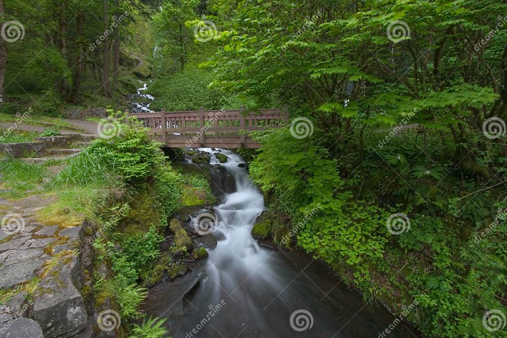 Waterfall under bridge. stock photo. Image of lush, river - 127106