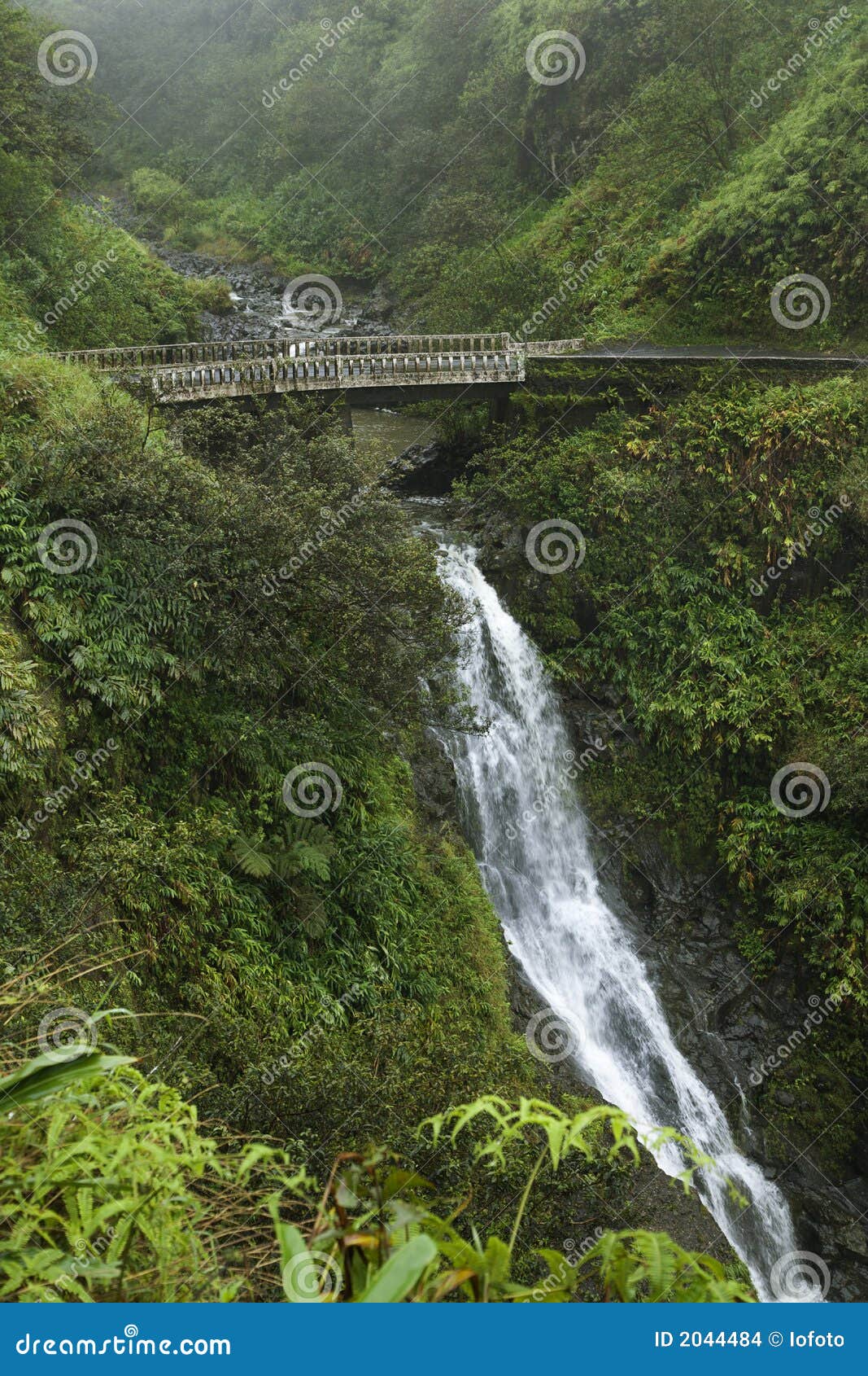Waterfall under a bridge. stock photo. Image of forest - 2044484