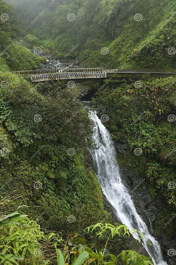 Waterfall under a bridge. stock photo. Image of forest - 2044484