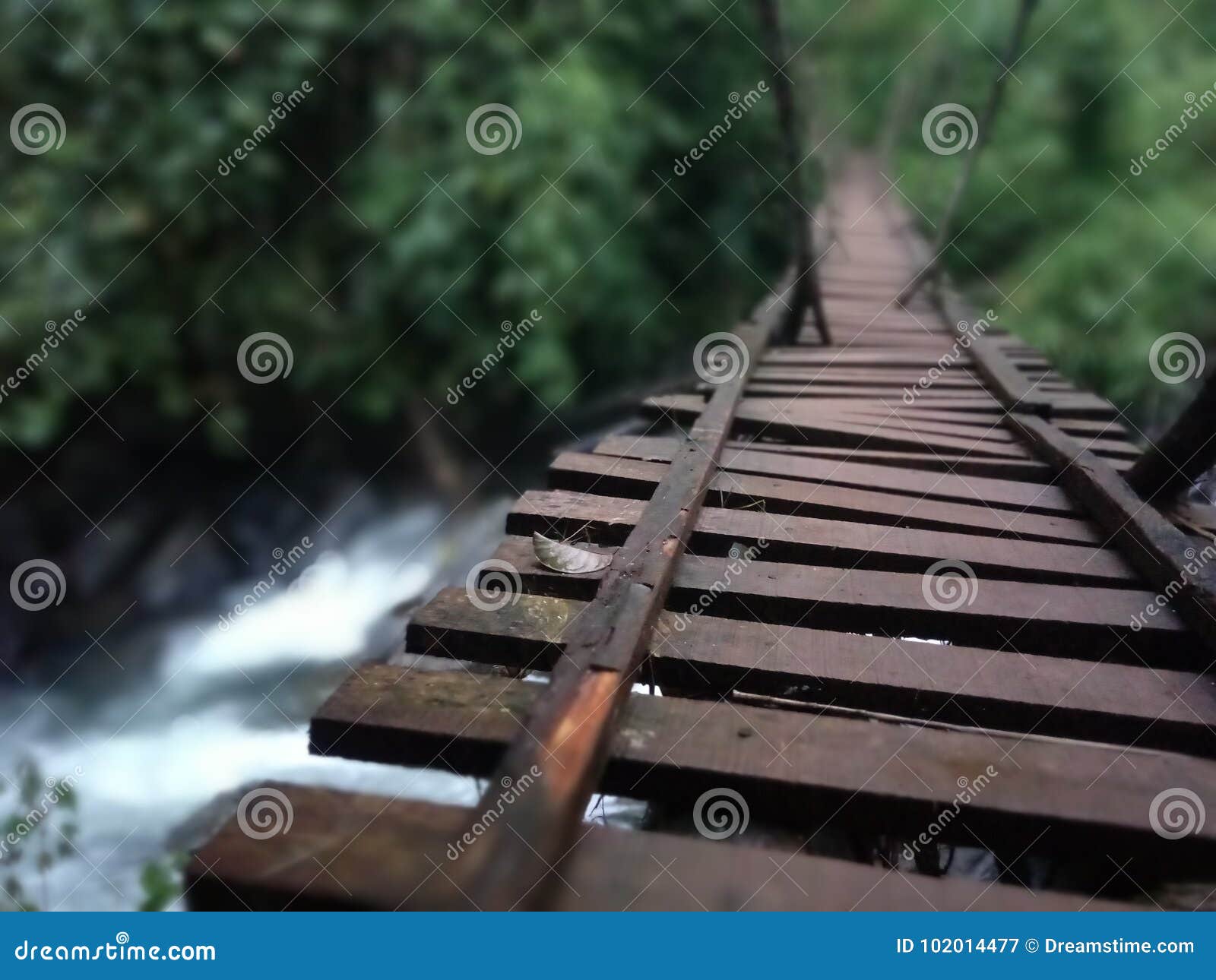 Waterfall Under the Wooden Bridge at Forest Stock Image - Image of ...