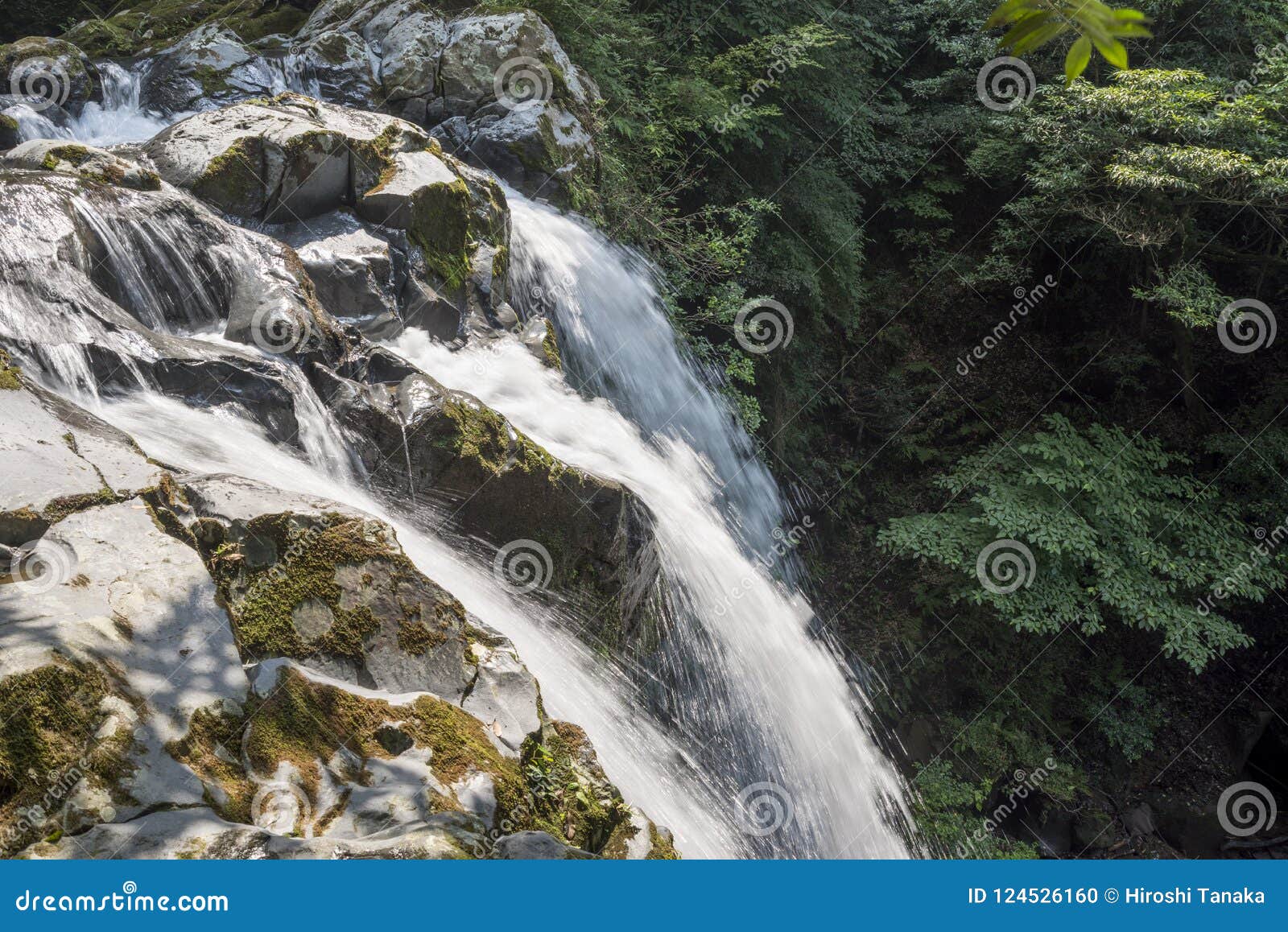 Waterfall upper side stock photo. Image of nature, plant - 124526160