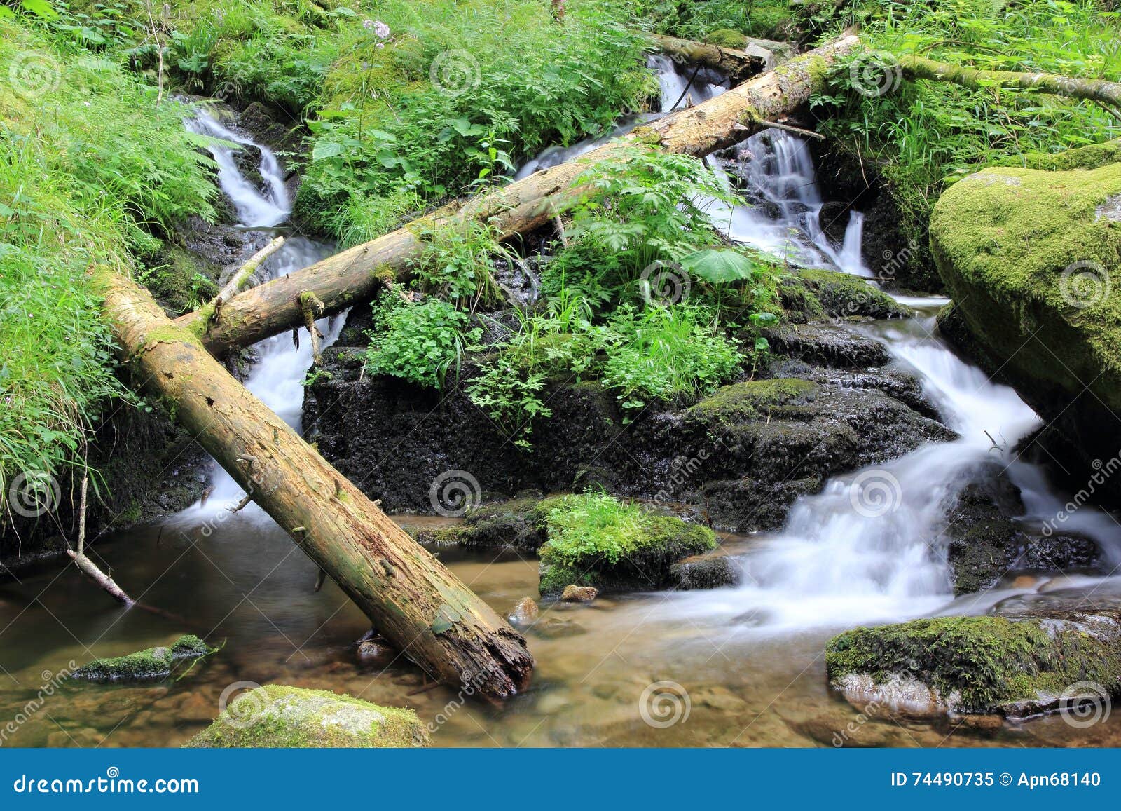 Waterfall of the Valley of Munster Stock Image - Image of stones ...
