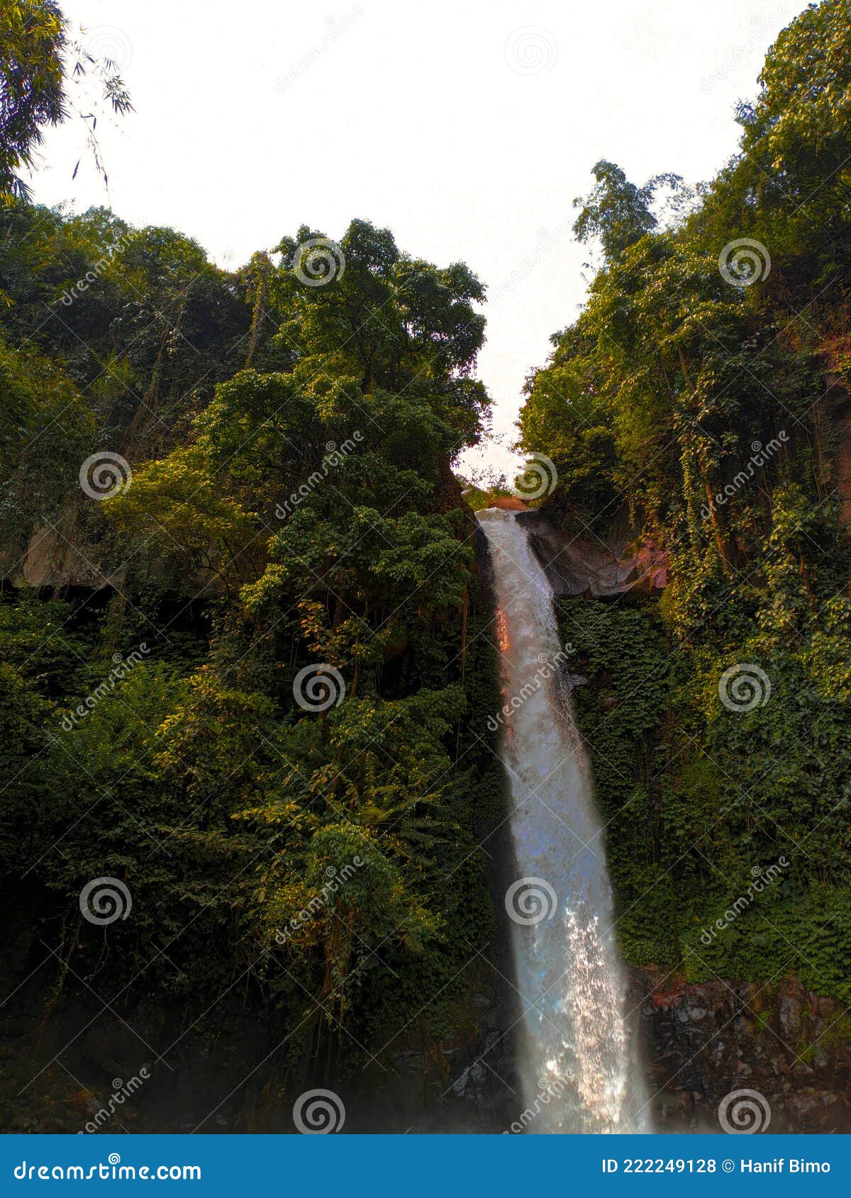 A Waterfall View Potrait Photograph Stock Photo - Image of nature ...