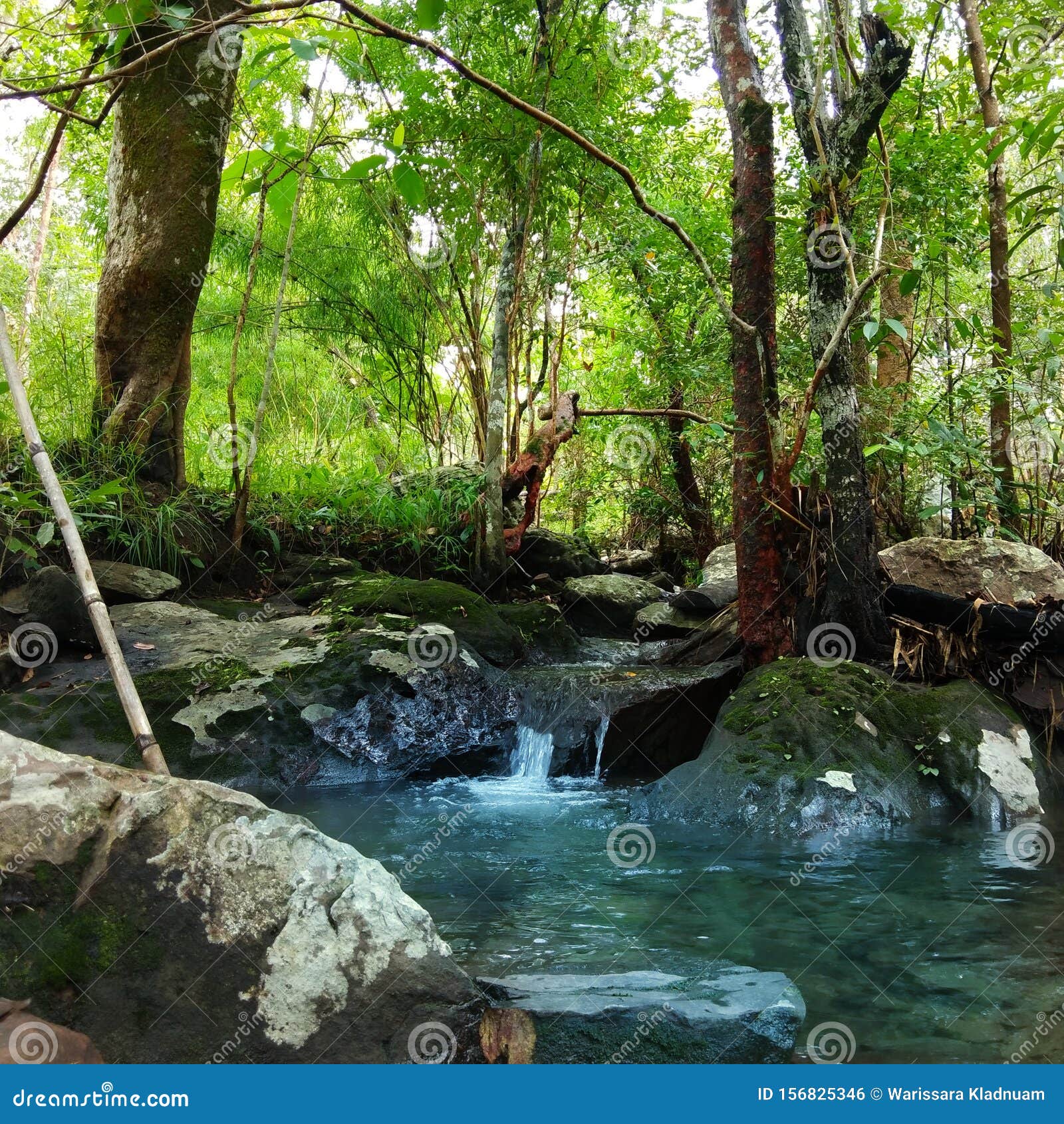 Waterfall stock photo. Image of steam, tree, water, waterfall - 156825346