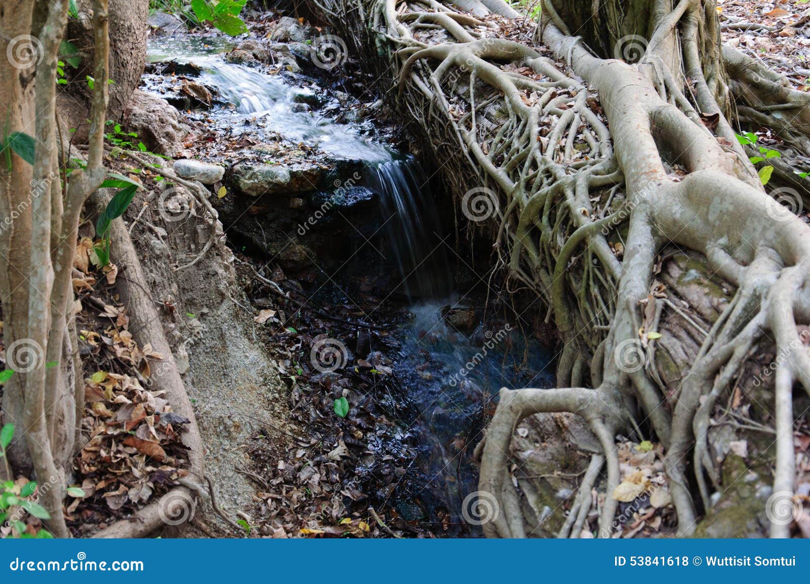 Waterfall editorial stock photo. Image of tree, waterfall - 53841618