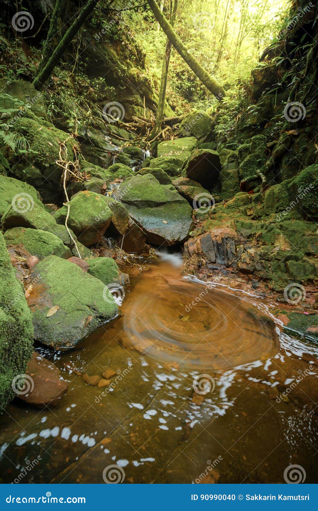 Waterfall and Vortex in Deep Forest Stock Photo - Image of leaf, nature ...