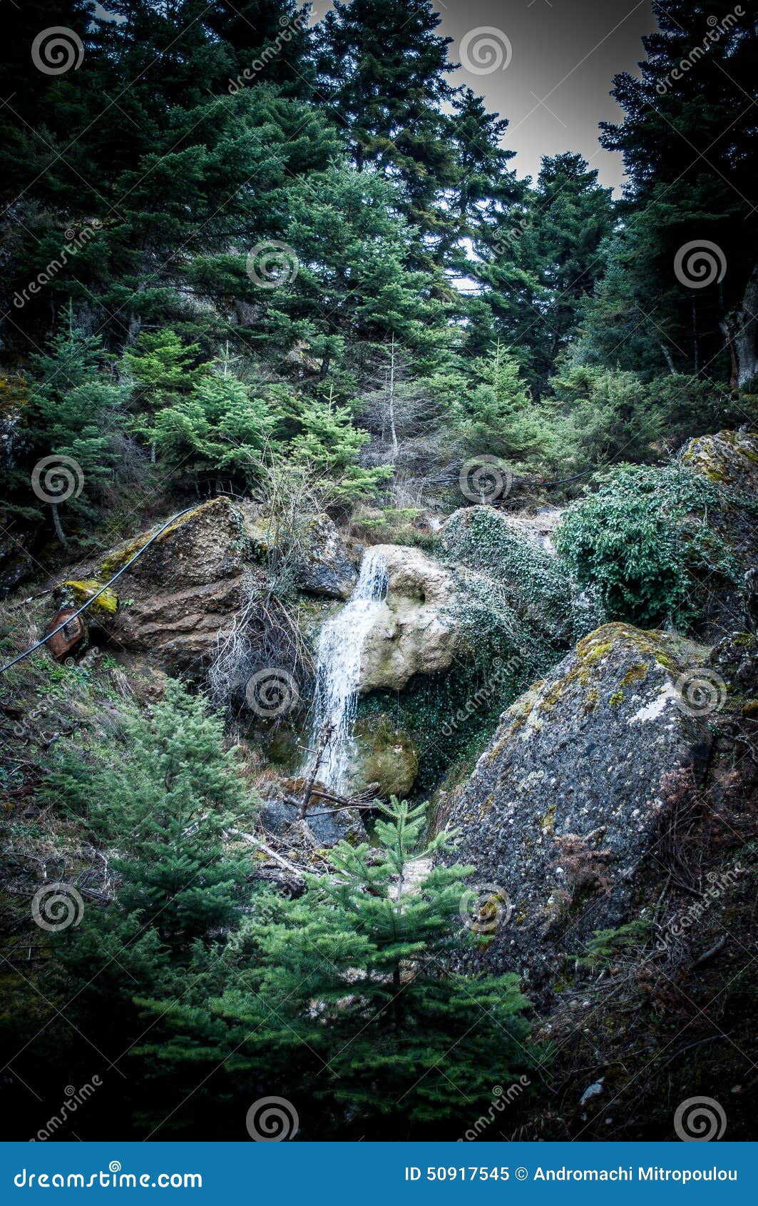 Waterfall stock image. Image of stone, green, trees, forest - 50917545
