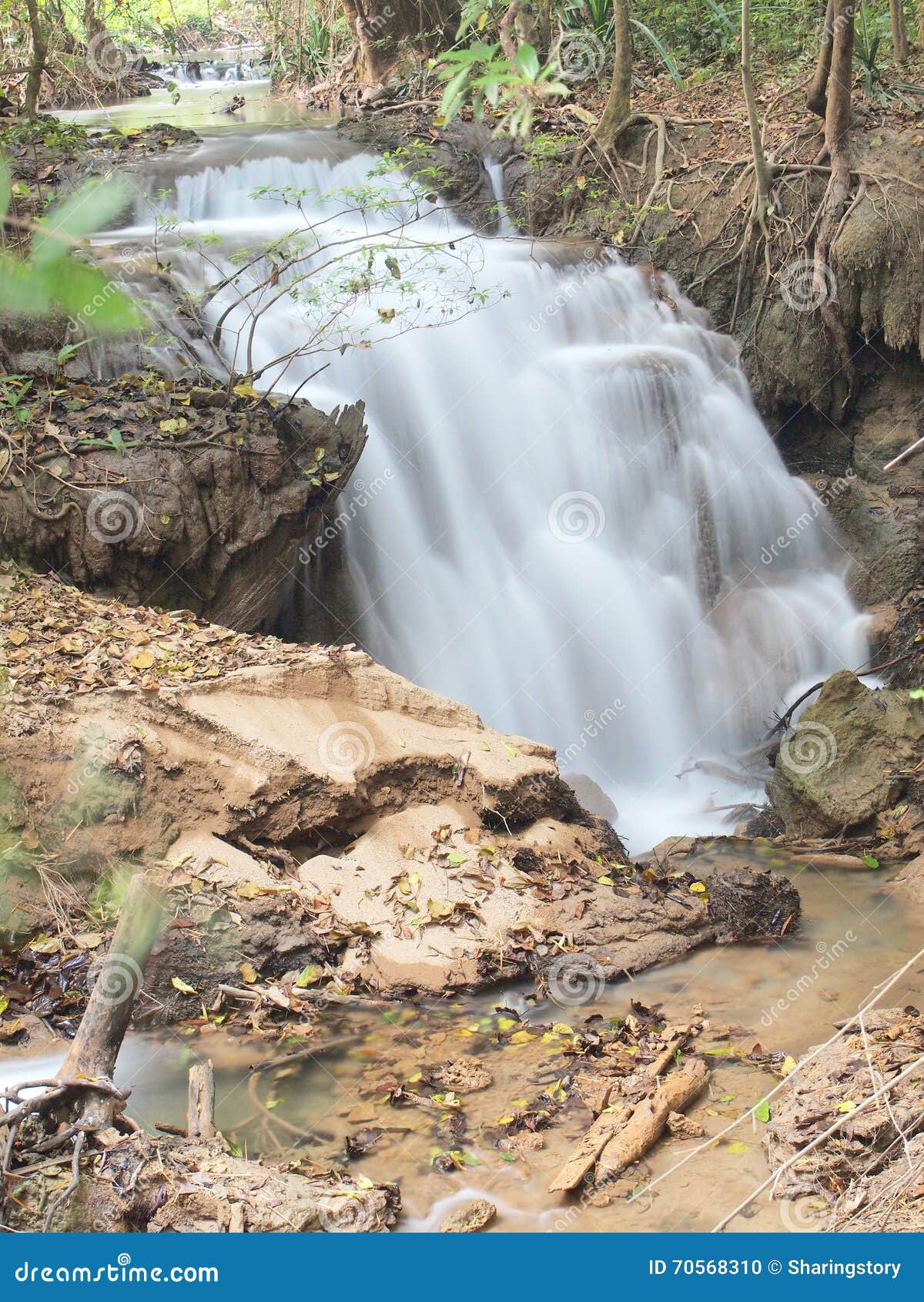 Waterfall with Water Flowing Around Stock Photo - Image of forest ...