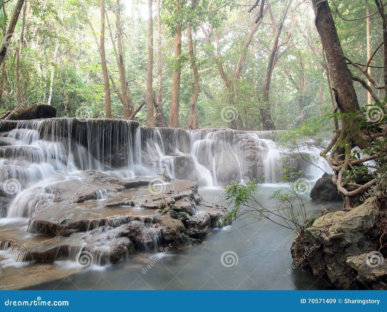 Waterfall with Water Flowing Around Stock Image - Image of jungle ...