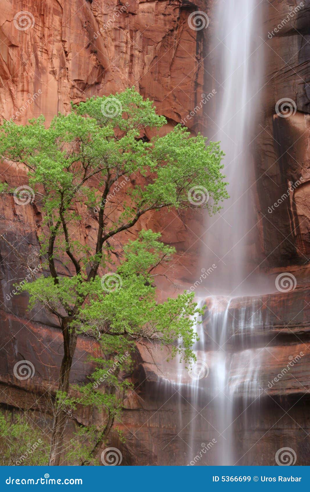Waterfall at Weeping Rock stock image. Image of formation - 5366699