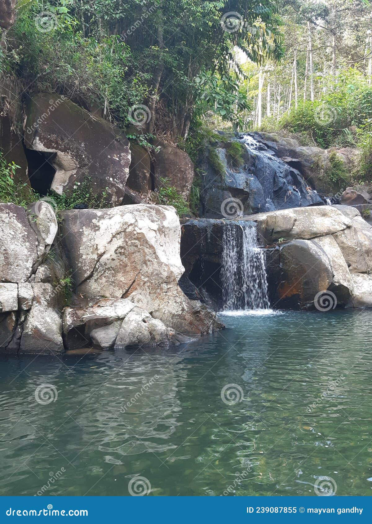 Waterfall wild nature stock image. Image of rock, formation - 239087855
