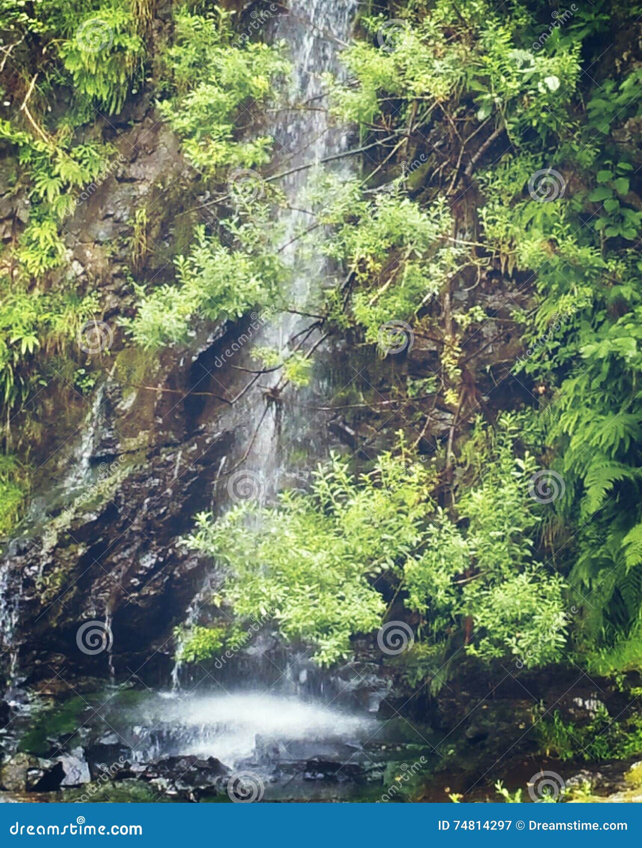 Waterfall stock image. Image of river, lake, oregon, wilson - 74814297