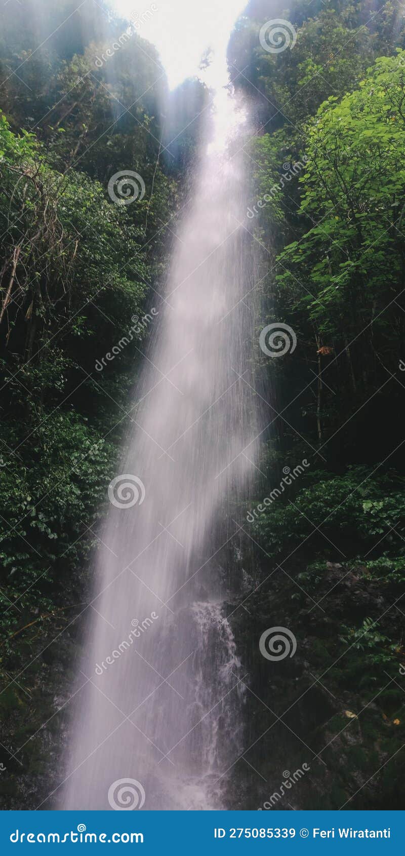 Waterfall stock image. Image of wonderful, cobanrondo - 275085339