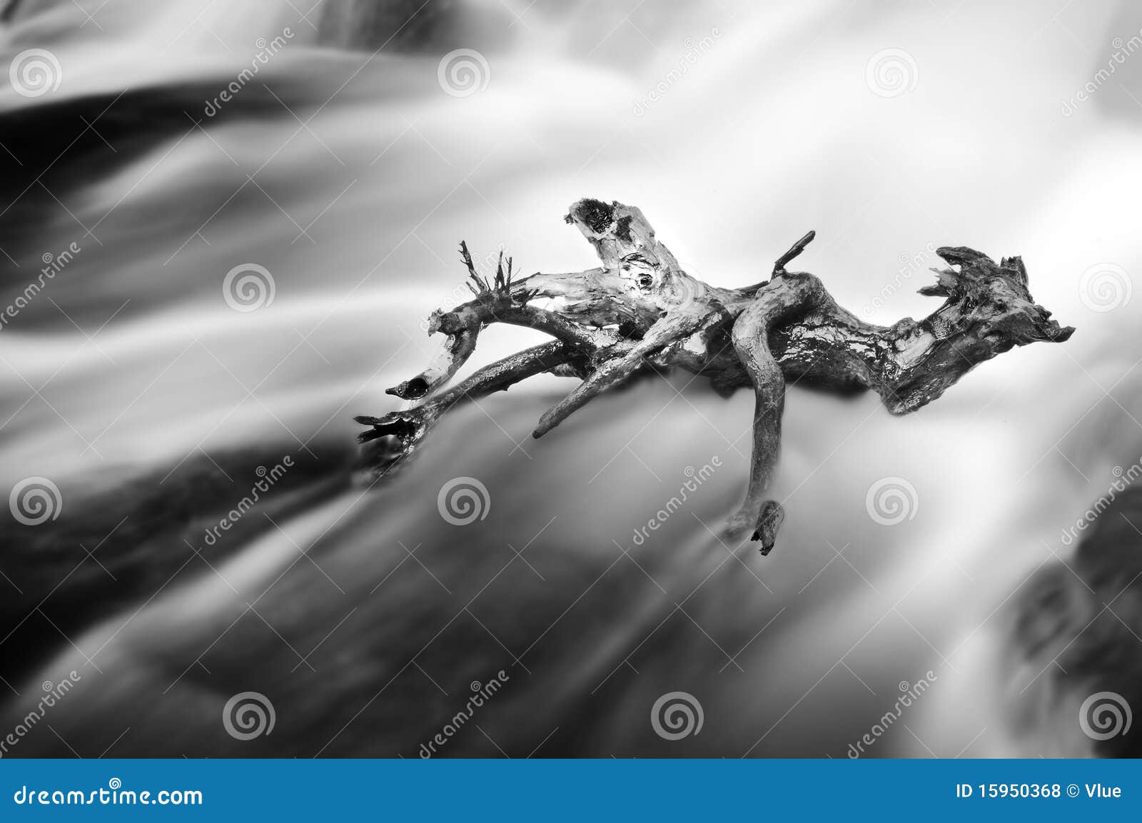 Waterfall with Wood stock photo. Image of high, green - 15950368