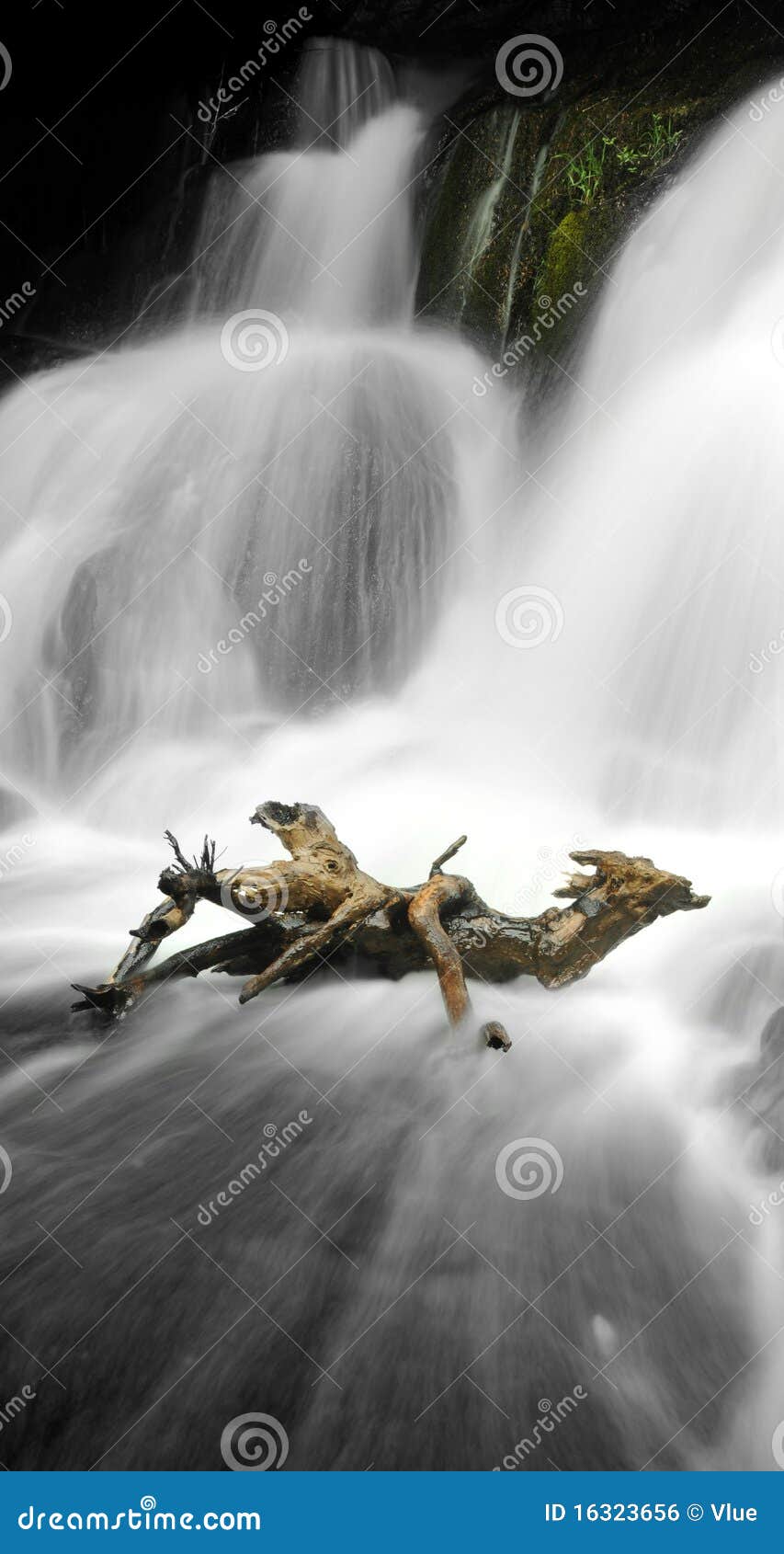 Waterfall with Wood stock photo. Image of fluid, light - 16323656