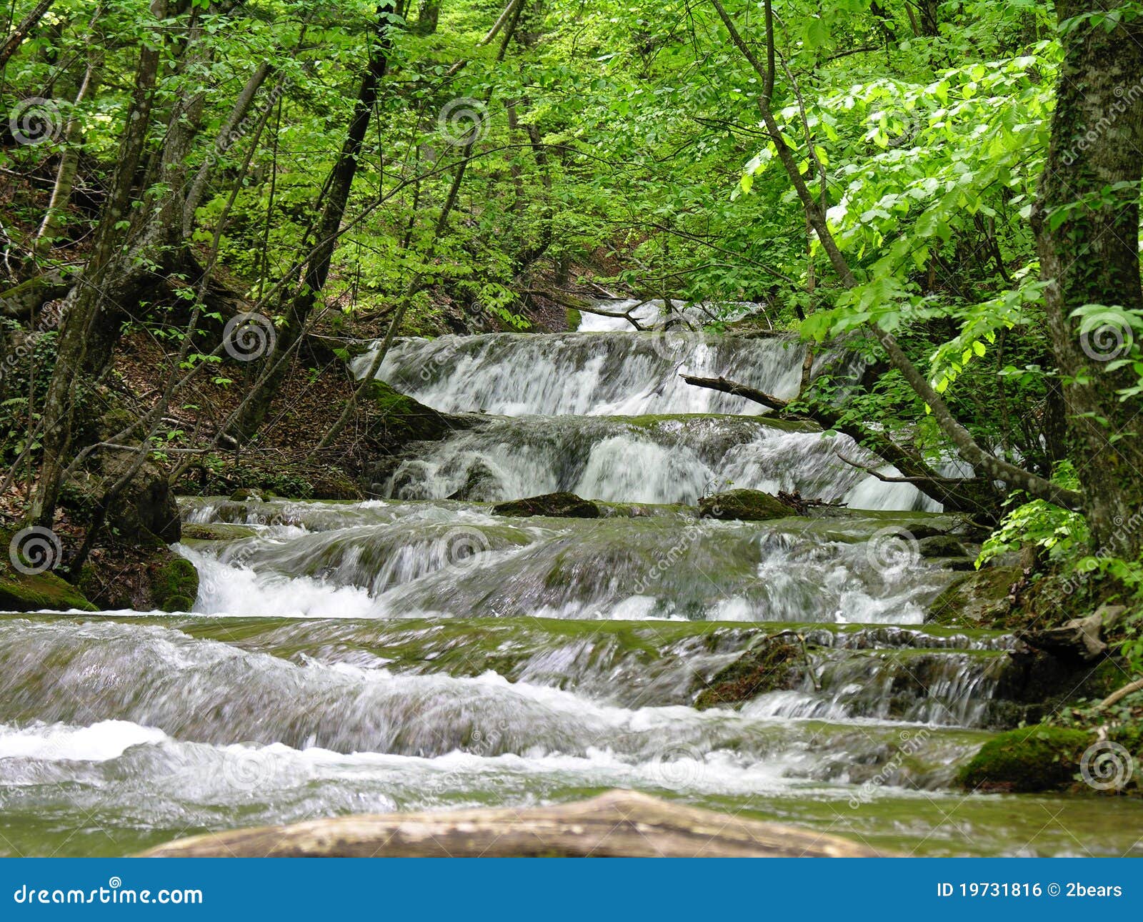 Waterfall in wood stock photo. Image of clean, panoramic - 19731816
