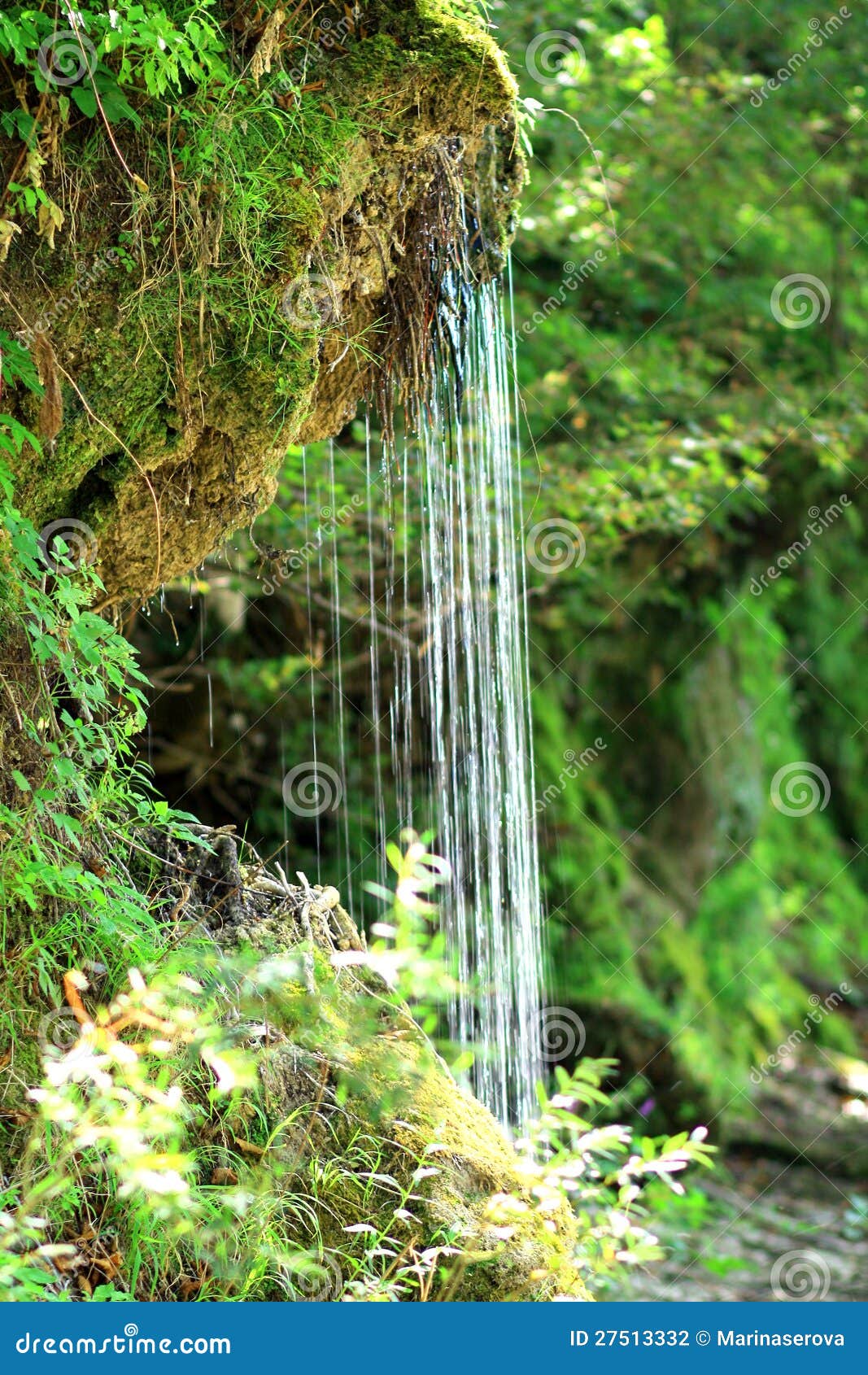 Waterfall in the wood stock photo. Image of rain, garden - 27513332