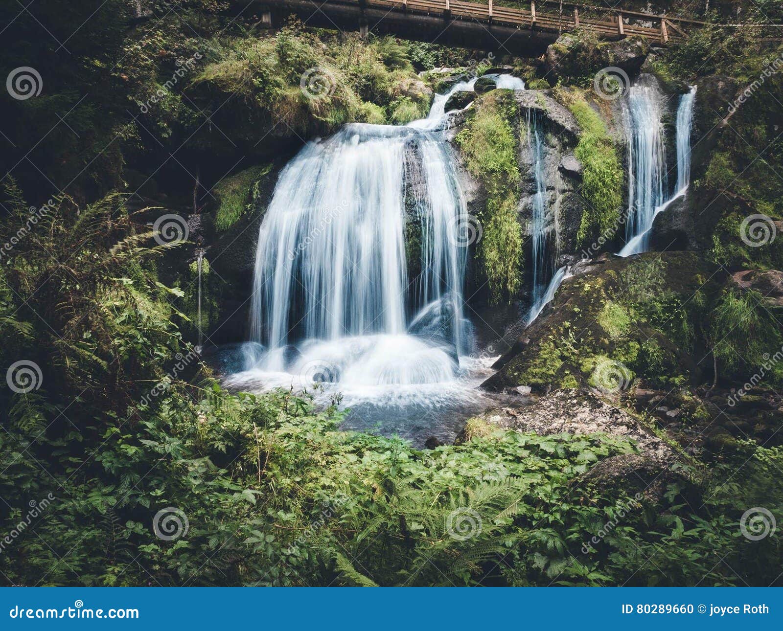 Waterfall in the wood stock photo. Image of nature, beautyfull - 80289660