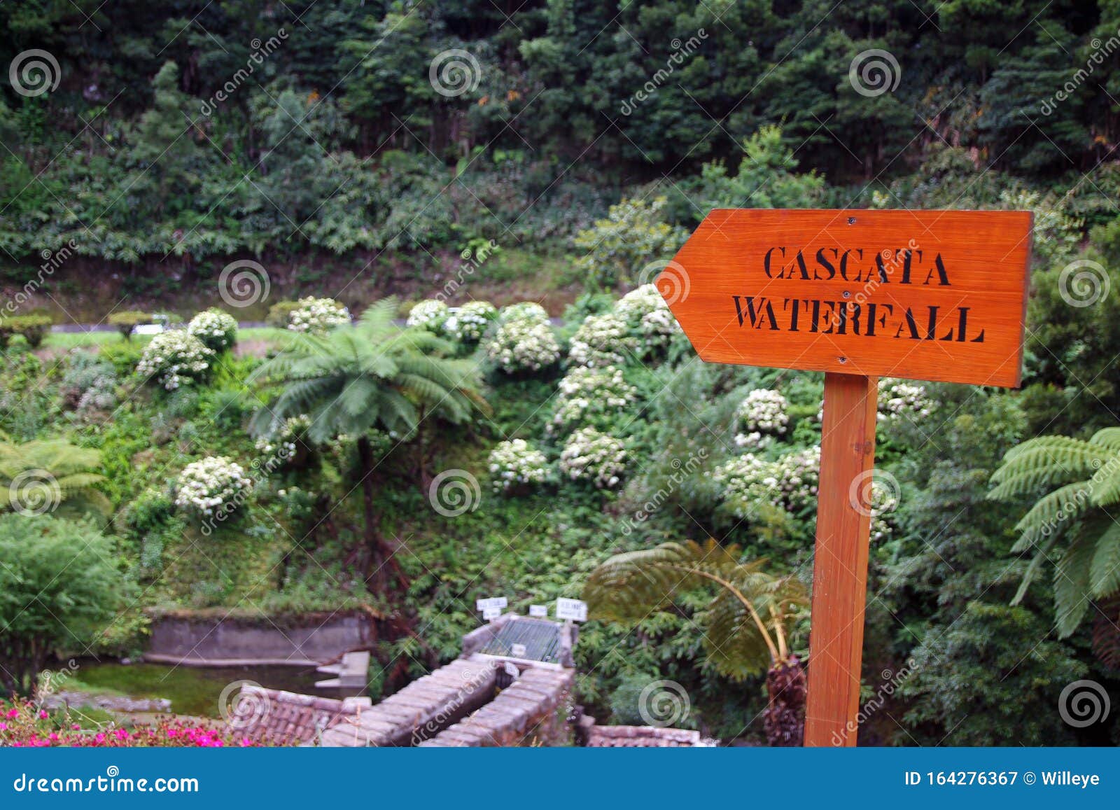 Waterfall Wooden Sign in the Green Forest Stock Image - Image of ...