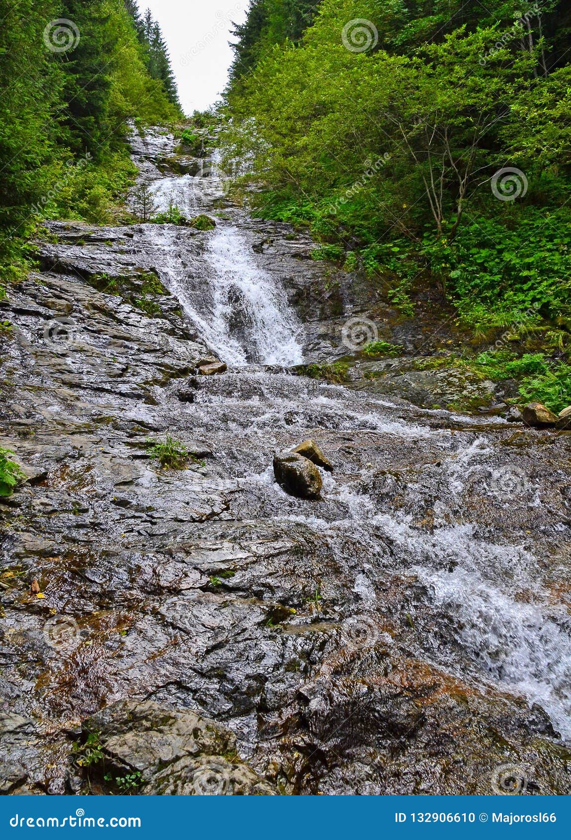 Waterfall in the woods stock photo. Image of rock, leaf - 132906610