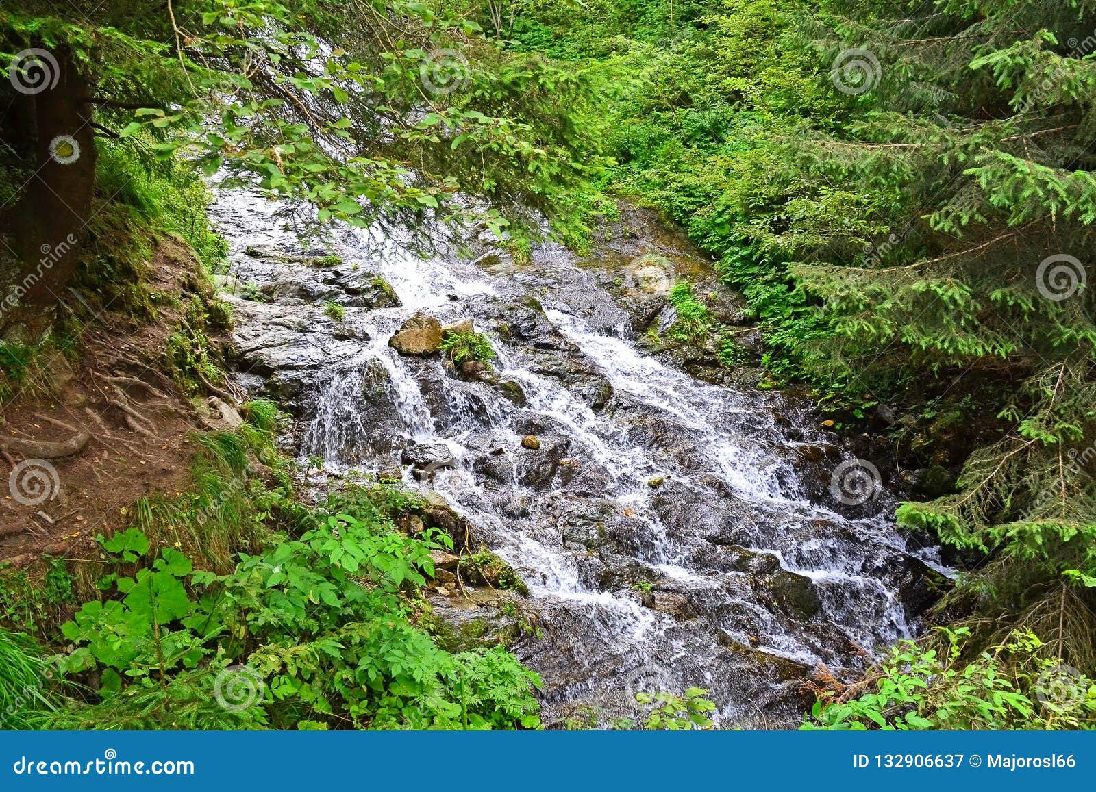 Waterfall in the woods stock image. Image of woods, blur - 132906637