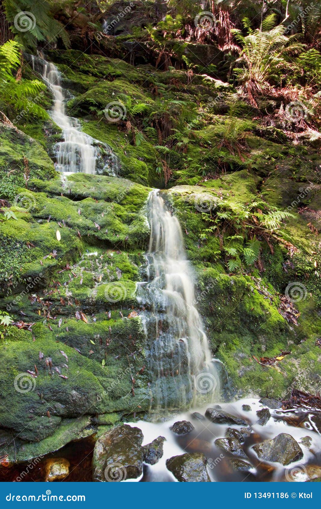 Waterfall in the Woods stock photo. Image of green, rocks - 13491186