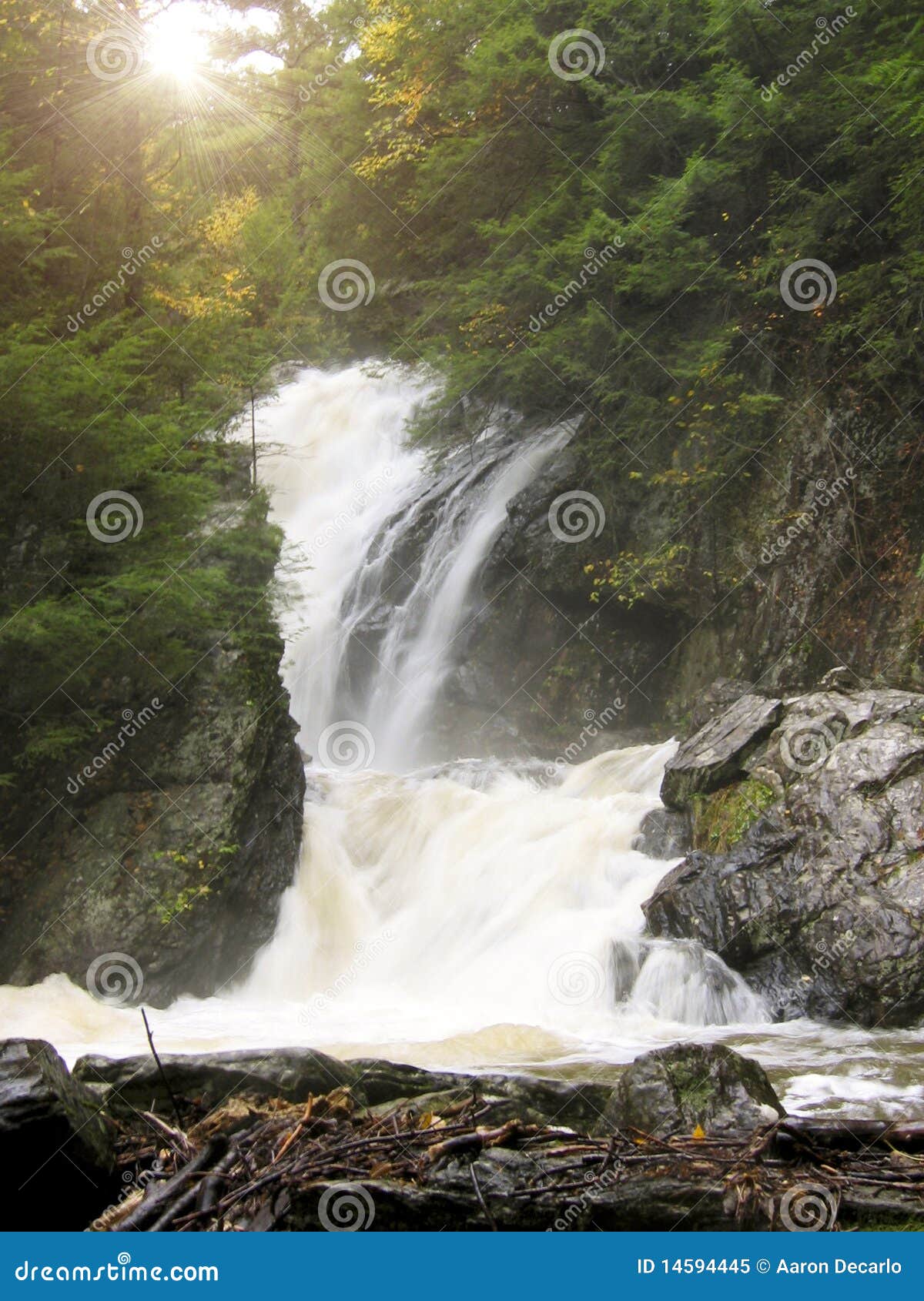 Waterfall in the woods stock image. Image of rushing - 14594445
