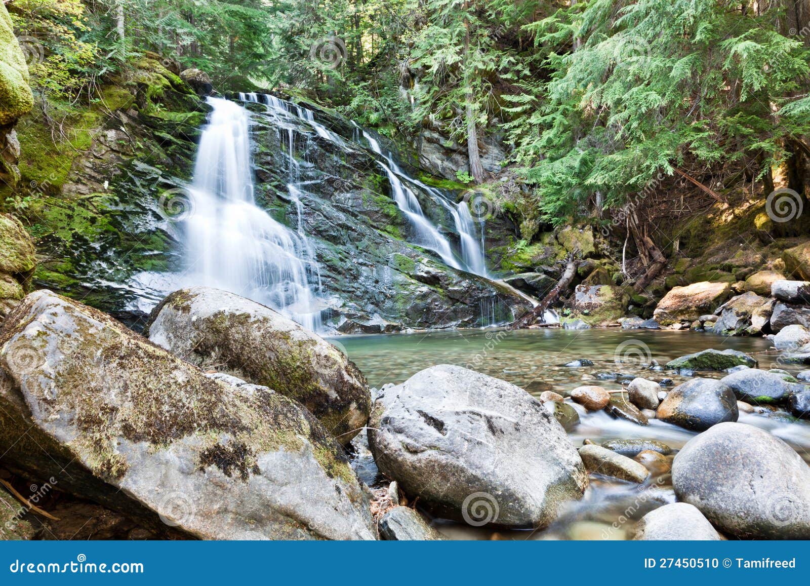 Waterfall in the Woods stock photo. Image of forest, fall - 27450510