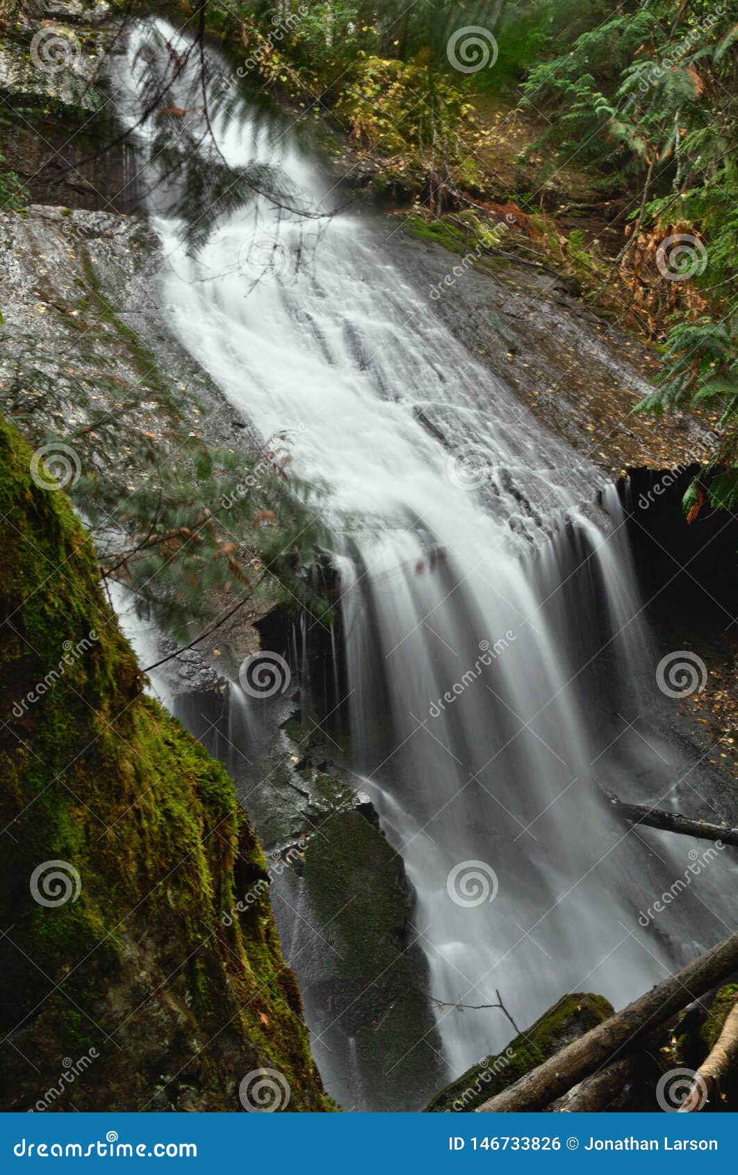 Waterfall in the Woods stock photo. Image of flora, blurred - 146733826