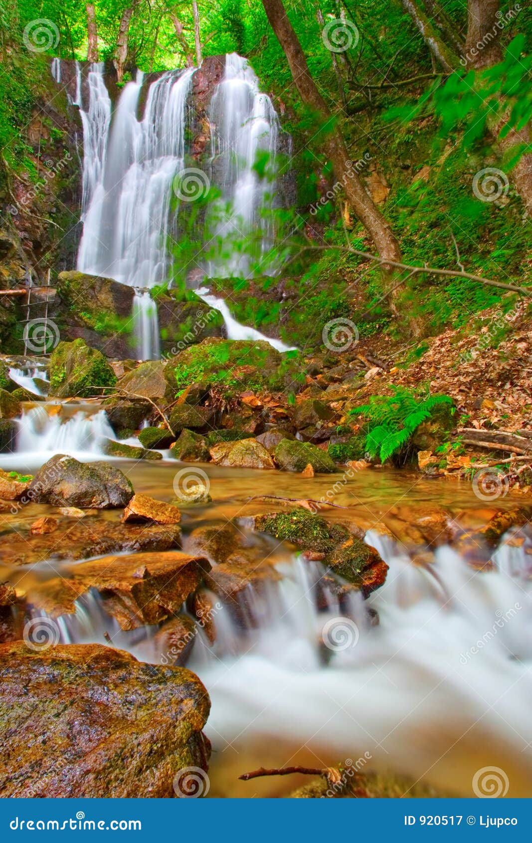 Waterfall in the Woods in Countryside Macedonia Stock Image - Image of ...