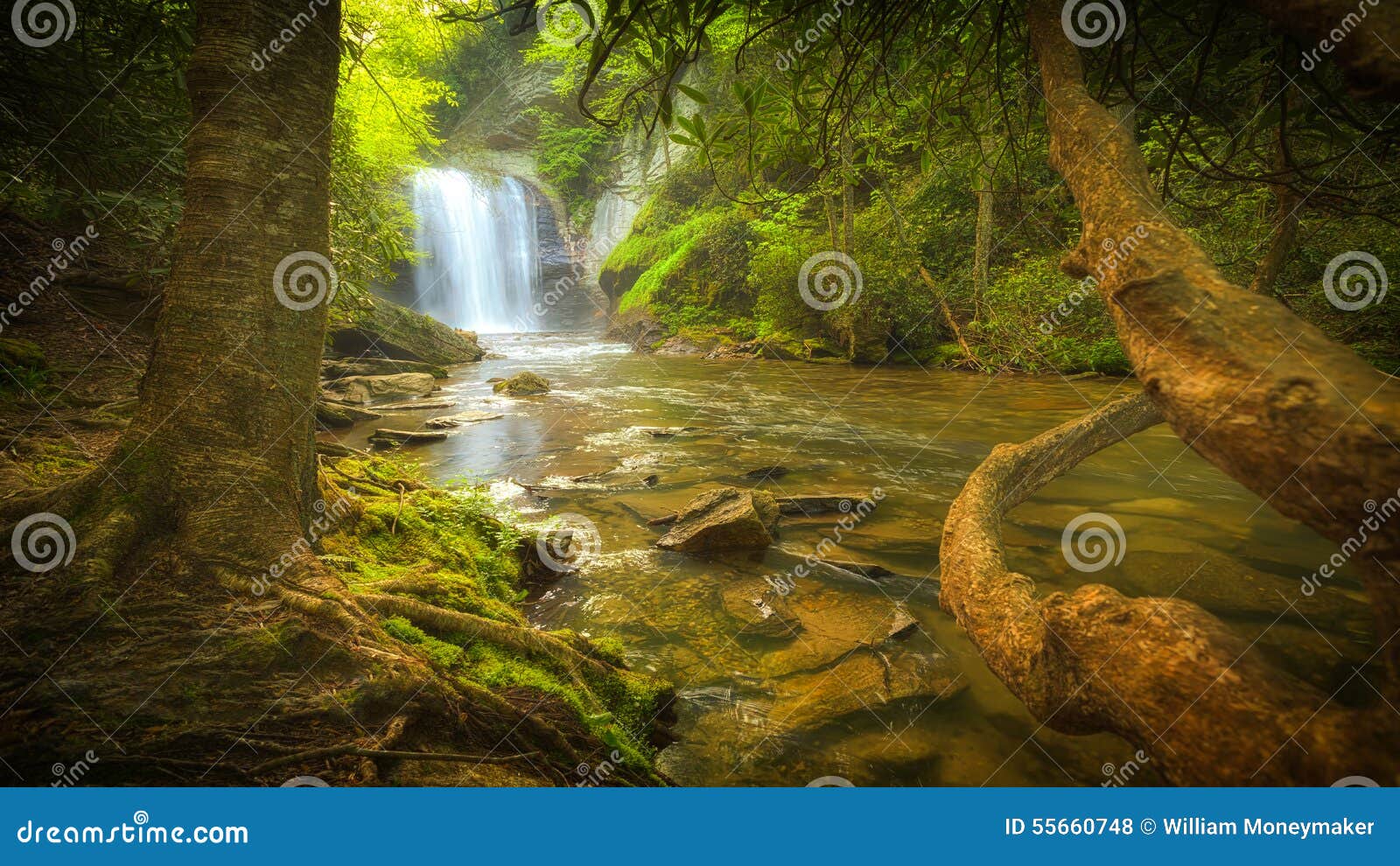 Waterfall in Woods of North Carolina Stock Photo - Image of american ...