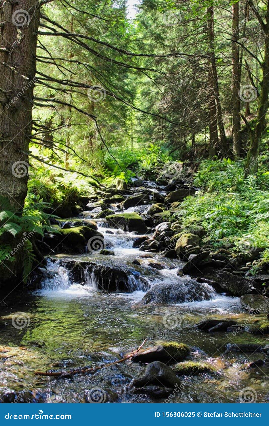 A Waterfall in the Woods at Summer Stock Image - Image of cascade ...
