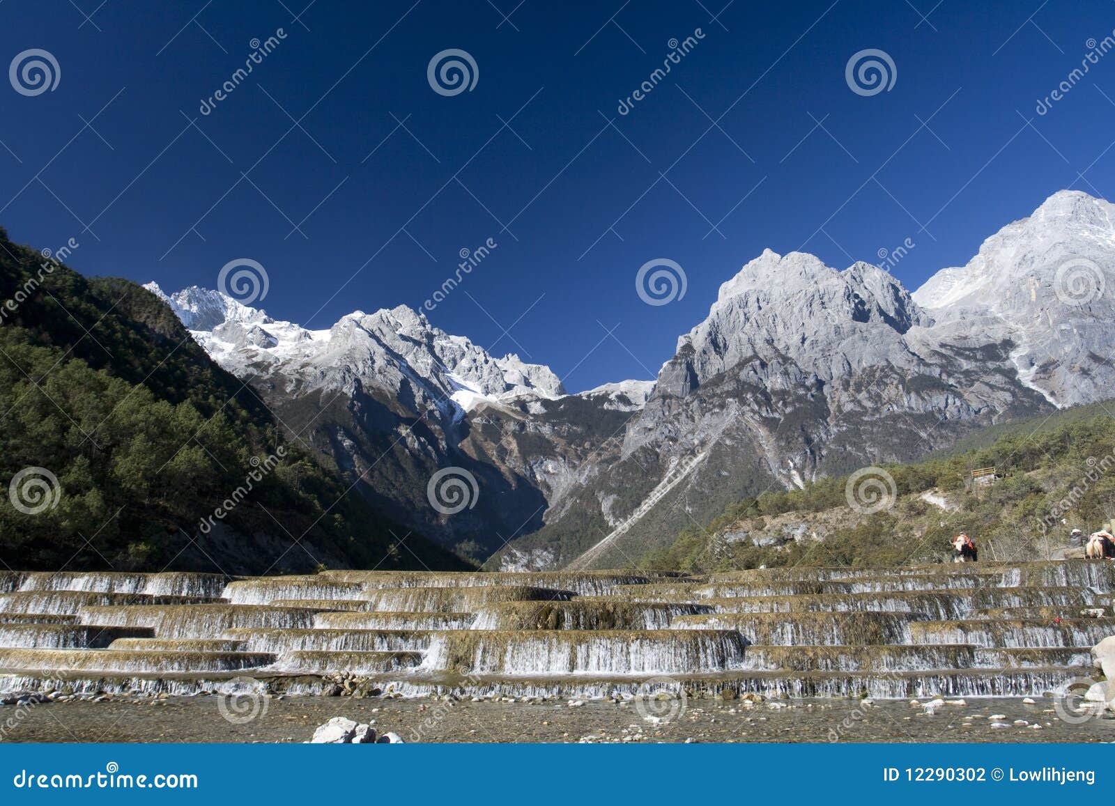 Waterfall with Yak at Jade Dragon Snow Mountain Stock Photo - Image of ...